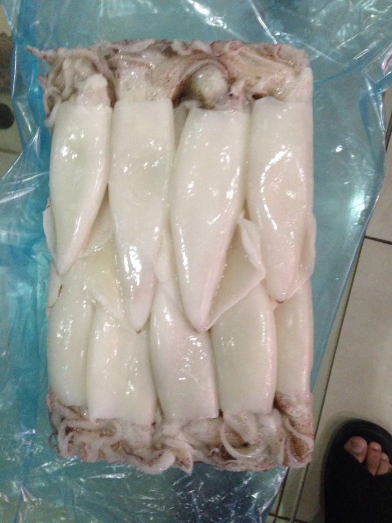 Squid Whole Cleaned – Seagold Mine Ltd